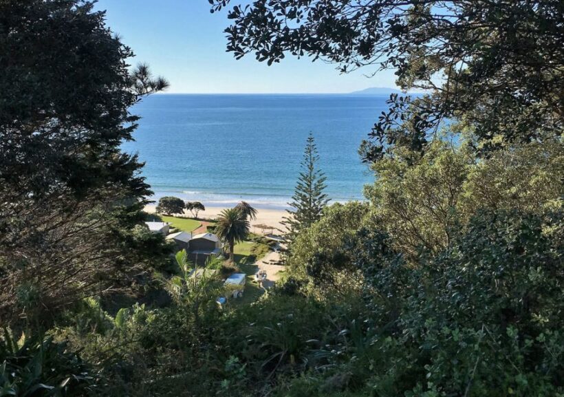 Waiheke Island: Forest and Beach Premium Guided Walk - Frequently Asked Questions