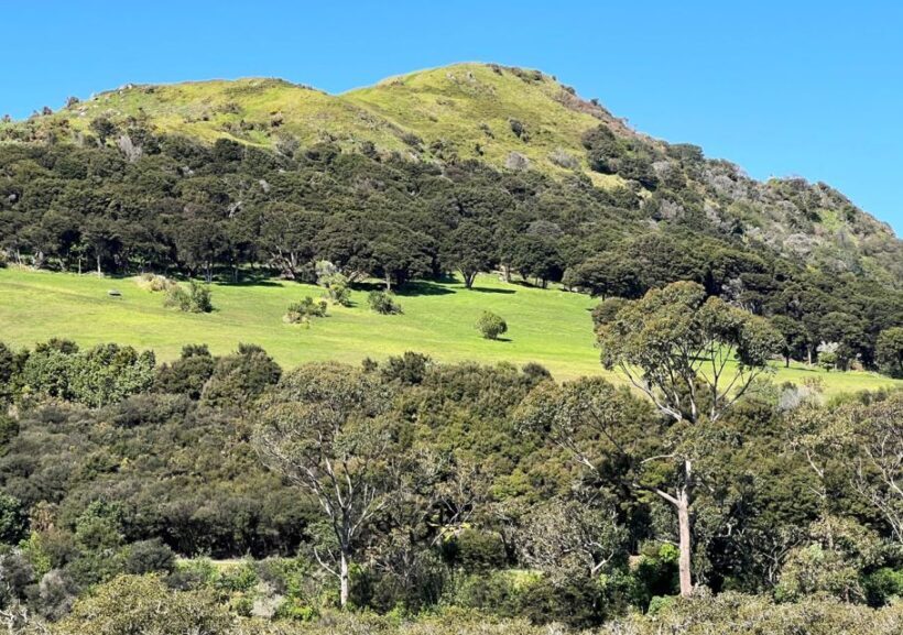 Waiheke Island: Full Day Guided History and Heritage Tour - Who Should Consider This Tour?