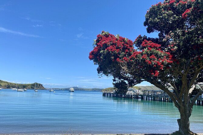 Waiheke Island Gourmet Food and Wine Tour - A Deep Dive into the Waiheke Island Gourmet Food and Wine Tour