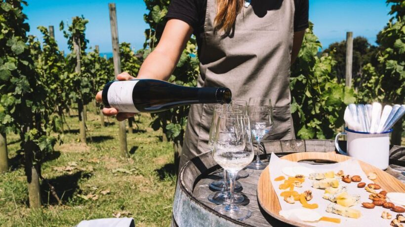 Waiheke Island Gourmet Food and Wine Tour with Platter Lunch - Potential Downsides and Considerations