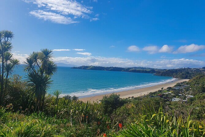 Waiheke Island Half Day Scenic Wine and Lunch - What Makes This Tour Stand Out?