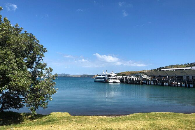 Waiheke Island Half Day Scenic Wine and Lunch - Authentic Feedback from Travelers
