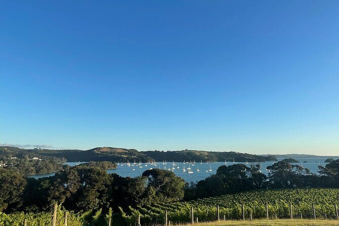 Waiheke Island Half Day Scenic Wine and Lunch - Who Should Book This Tour?