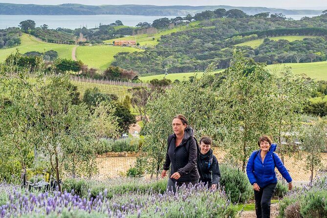 Waiheke Island History and Heritage Tour - Final Thoughts