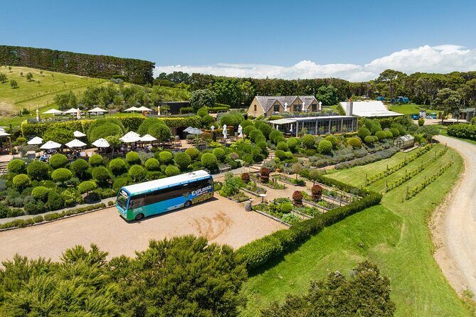 Waiheke Island Hop-On Hop-Off Explorer Bus - An In-Depth Look at the Waiheke Island Hop-On Hop-Off Tour