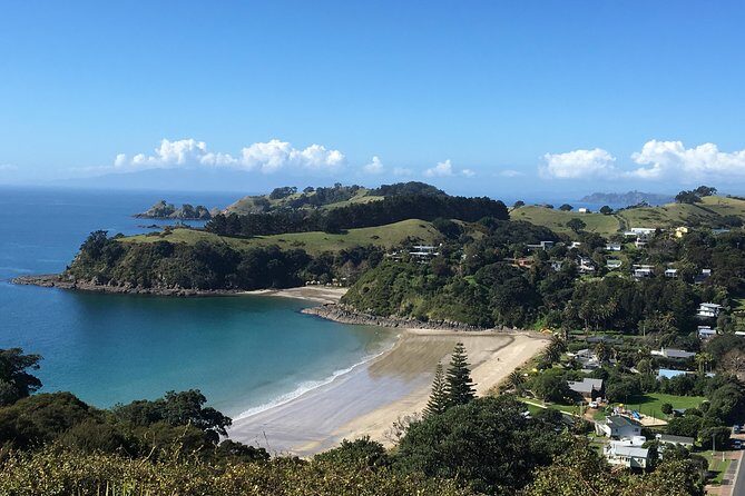 Waiheke Island Hop-On Hop-Off Explorer Bus - Final Thoughts