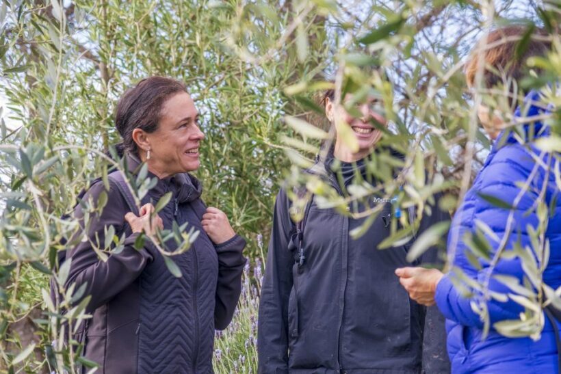 Waiheke Island: Premium Vineyard, Wine Tasting and Bush Walk - Introduction: Discovering Waiheke in a New Way