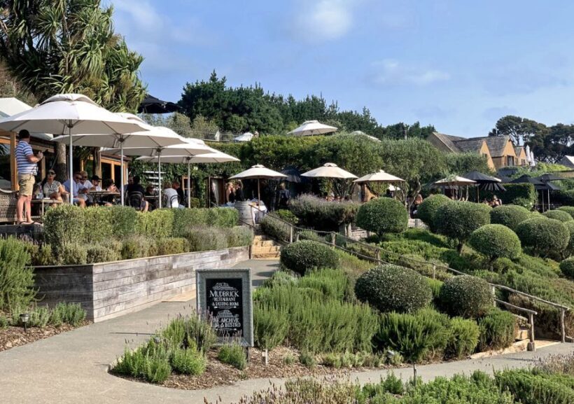 Waiheke Island: Premium Vineyard, Wine Tasting and Bush Walk - Who This Tour Is Best For
