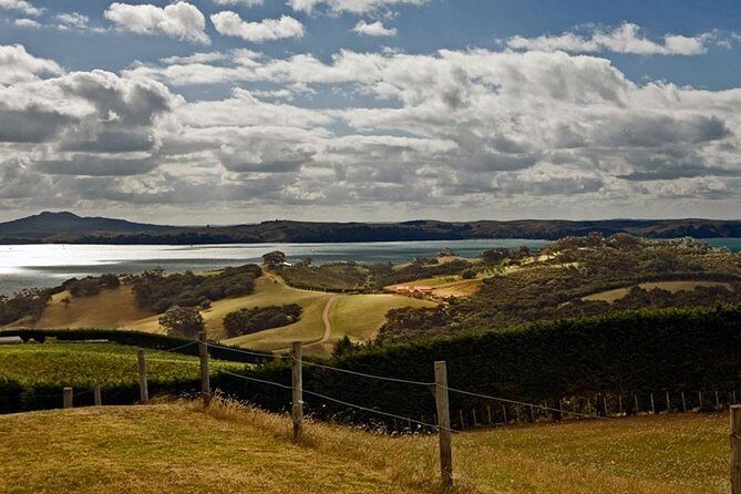 Waiheke Island Private Art Tour - FAQ: Your Practical Questions Answered