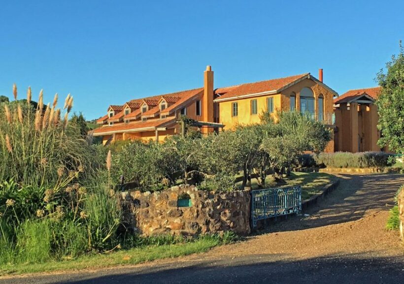 Waiheke Island: Private Art Tour with Lunch - Final Thoughts