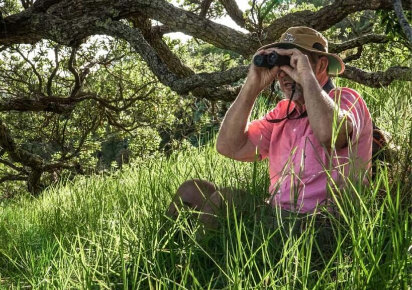 Waiheke Island: Private Birding Tour | Terra & Tide - An In-Depth Look at the Waiheke Birding Tour