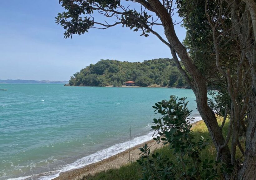 Waiheke Island: Private Guided Te Ara Hura 5-Day Walk - Accommodation & Meals — Comfort Meets Convenience