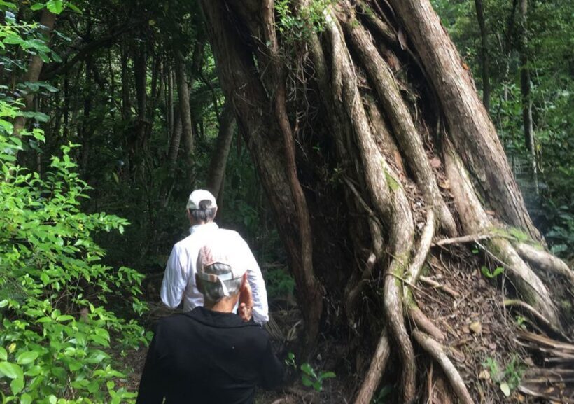 Waiheke Island: Private Guided Te Ara Hura 5-Day Walk - Who Will Love This Tour?