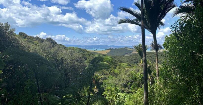 Waiheke Island: Private Guided Te Ara Hura 5-Day Walk - Is It Good Value? Analyzing the Cost