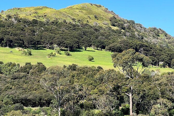 Waiheke Island Private History and Heritage Tour - Who Is This Tour Best For?