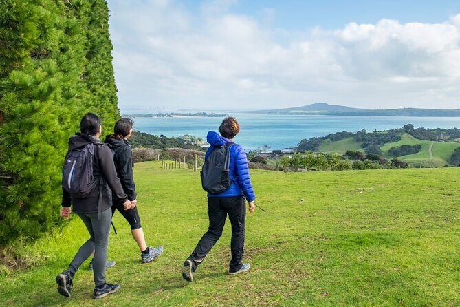 Waiheke Island Private History and Heritage Tour - The Sum Up: Is It Worth It?