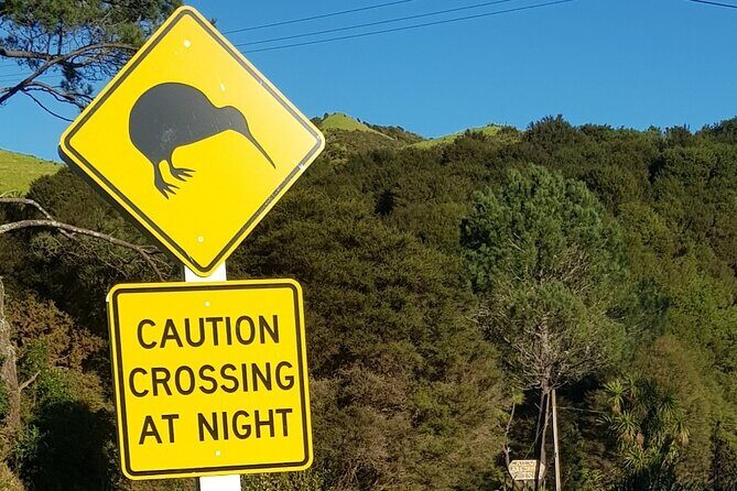 Waiheke Island Private Tours - Exploring Waiheke Island with a Personal Touch