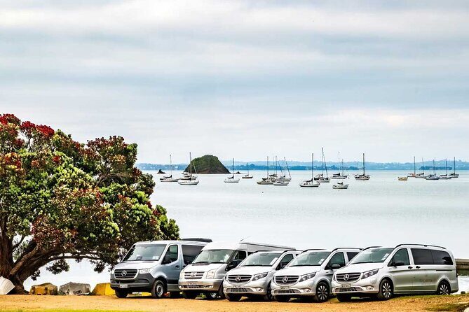Waiheke Island Private Transfers - What to Expect from the Service