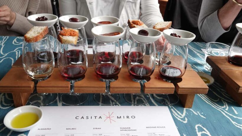 Waiheke Island: Scenic PREMIUM Wine Tour. Max 11 clients - Introduction: A Personal Touch to Waiheke’s Wineries