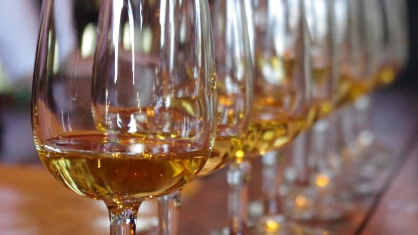 Waiheke Island: Scenic PREMIUM Wine Tour. Max 11 clients - A Closer Look at the Waiheke Premium Wine Tour