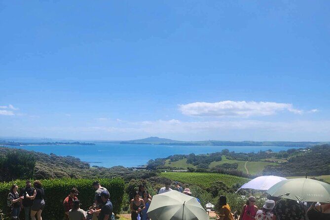Waiheke Island Scenic Wine Tour with Gourmet Beachfront Lunch - The Sum Up