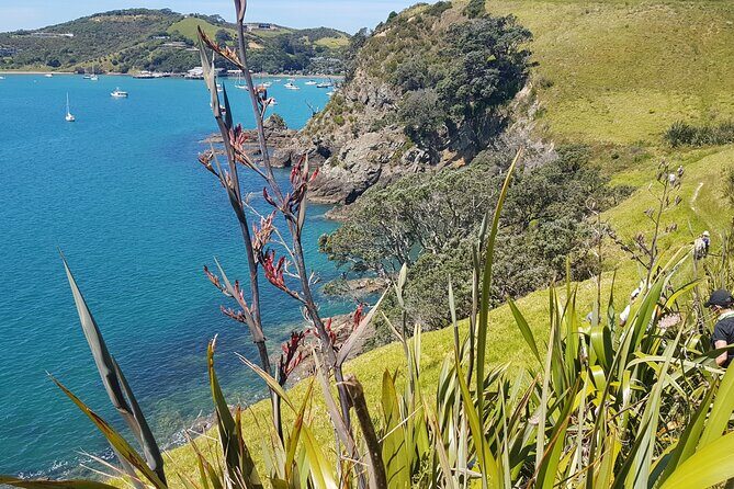 Waiheke Island Self Guided 4 Day Walking Adventure - Why This Tour Offers Great Value
