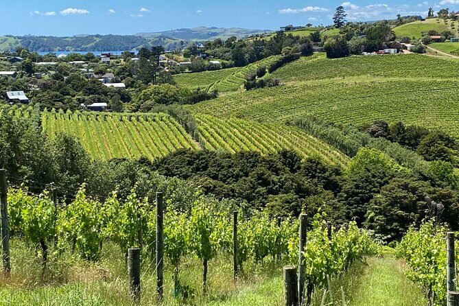 Waiheke Island: Sip & Savour Tour - An In-Depth Look at the Waiheke Sip & Savour Tour