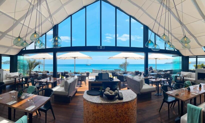 Waiheke Island: The Afternoon Wine Affair with VIP lunch - Introduction
