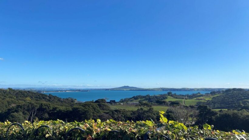 Waiheke Island: The Essence of Waiheke Wine Tour - What to Expect on the Waiheke Wine Tour