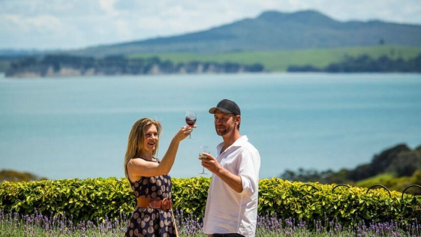 Waiheke Island: The Essence of Waiheke Wine Tour - The Experience: What Makes It Stand Out?