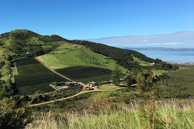 Waiheke Island Vineyards and Bush Walk - Key Points