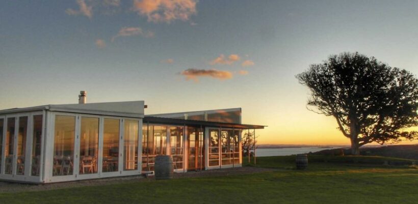 Waiheke Island: Wine Tour + Lunch at Award Winning Venue - Potential Drawbacks or Considerations