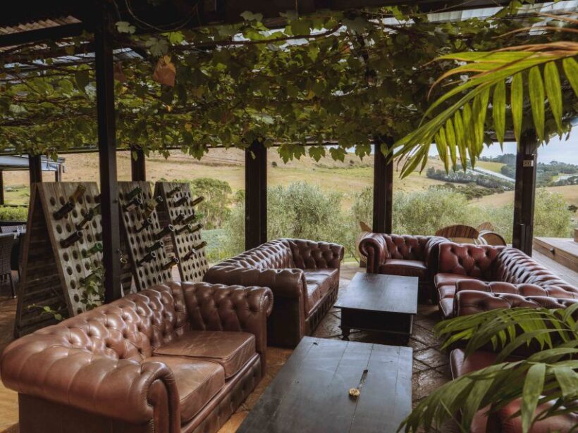 Waiheke Island: Wine Tour + Lunch at Award Winning Venue - FAQs