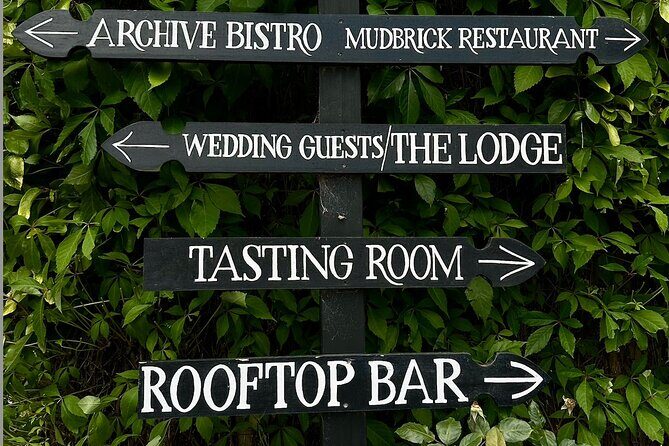 Waiheke island wine tours with Waitiki Tours - Is It Worth the Price?
