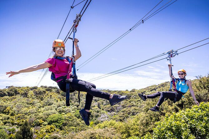 Waiheke Island: Zipline And Forest Walk - Starting Point and Transportation