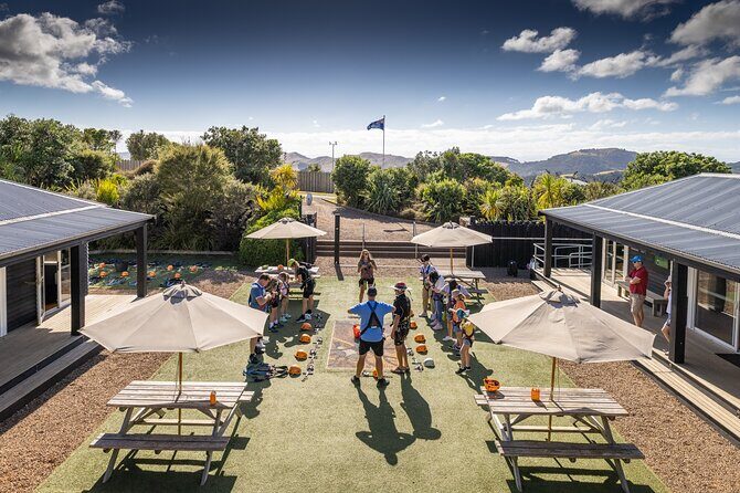 Waiheke Island: Zipline And Forest Walk - The Panoramic Viewpoint at Trig Hill