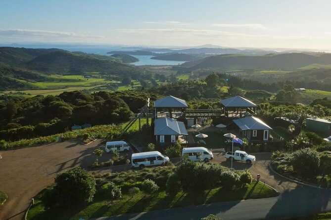 Waiheke Island: Zipline And Forest Walk - Safety and Guides