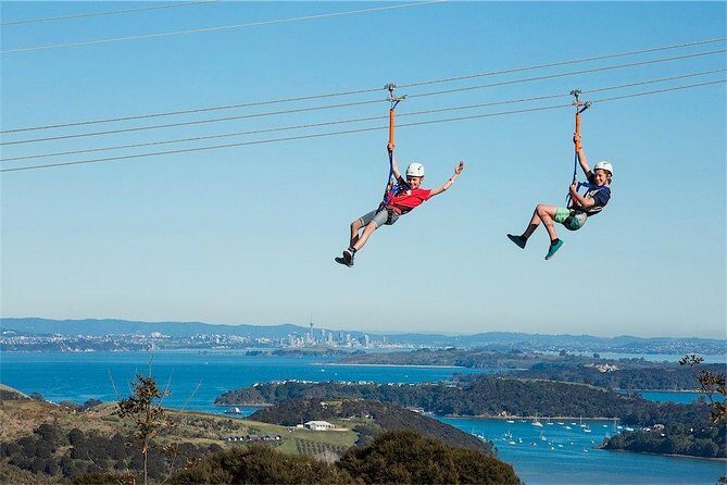 Waiheke Island: Zipline And Forest Walk - Return to the Ferry and Auckland
