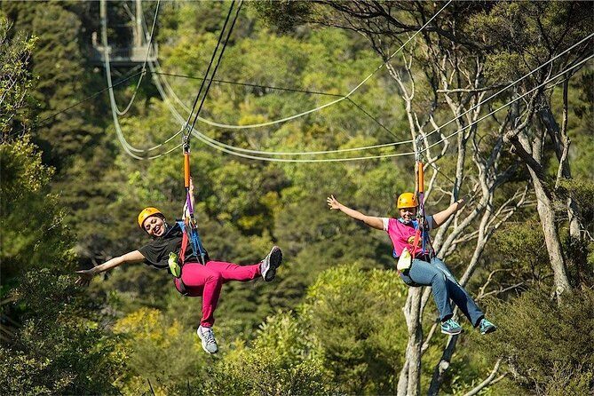 Waiheke Island: Zipline And Forest Walk - Practical Tips for Travelers