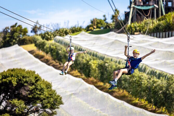 Waiheke Island: Zipline And Forest Walk - Final Considerations