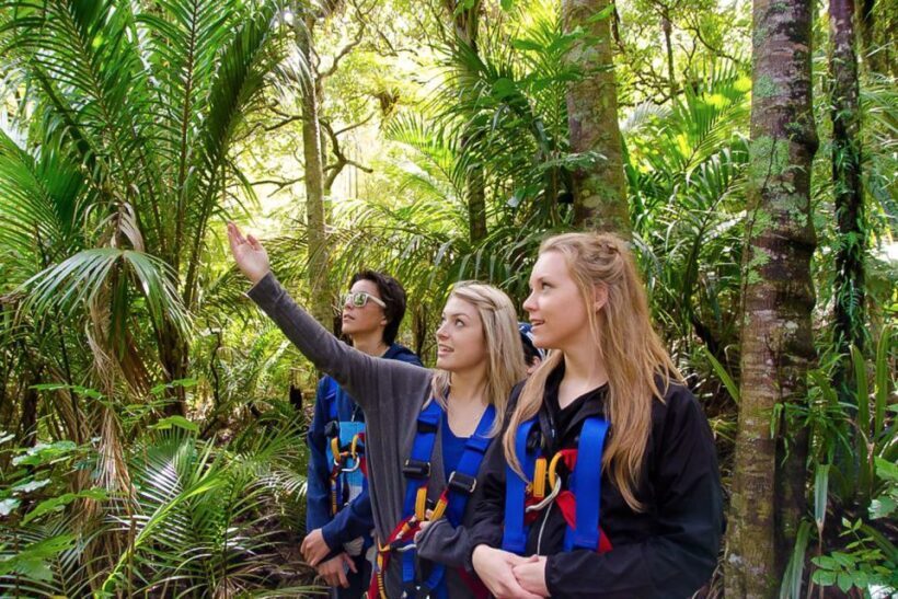 Waiheke Island: Zipline and Native Forest Adventure Trip - Exploring Waiheke Islands Natural and Scenic Highlights