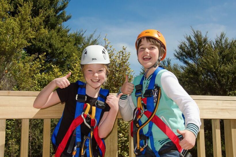 Waiheke Island: Zipline and Native Forest Adventure Trip - The Scenic Drive and Island Tour