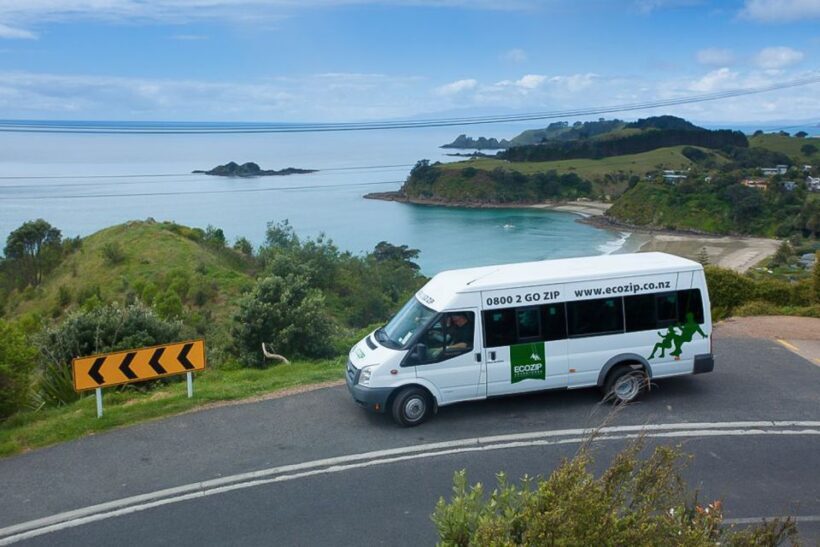 Waiheke Island: Zipline and Native Forest Adventure Trip - Safety, Equipment, and Group Size