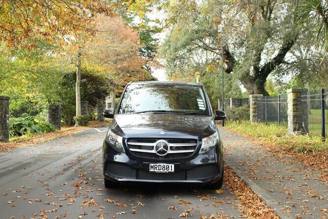 Waiheke Luxury 9 Hour Tour Tailored to You - The Sum Up: Is It Worth It?