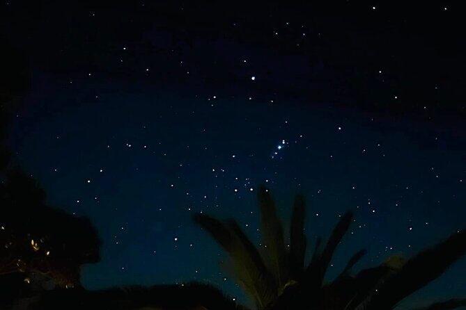 Waiheke Private Stargazing Tour Night Walk - The Experience and Itinerary