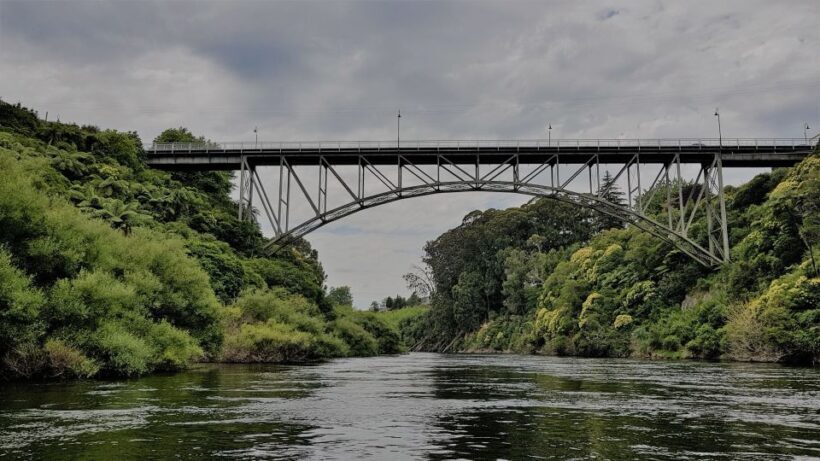 Waikato River: 1-Hour Ecological River Cruise - A Close Look at the Experience
