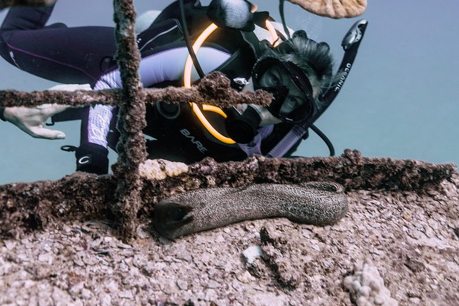 Waikiki 2 Tank World Class Wreck SCUBA Diving - Certified Only - Customer Reviews and Feedback