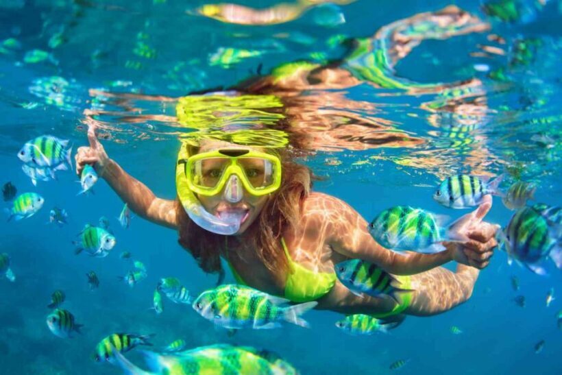 Waikiki: 5-in-1 Turtle Snorkeling Trip with Transfer - Who Is This Tour Best For?