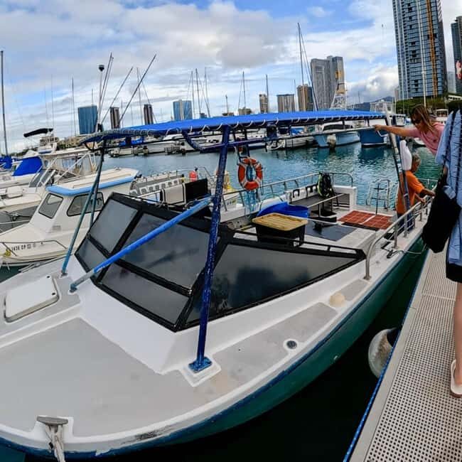 Waikiki: AM Paradise Honu Snorkeling - The Practicalities: What You Need to Know