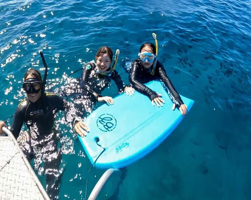 Waikiki: AM Paradise Honu Snorkeling - The Value and Who Will Love It